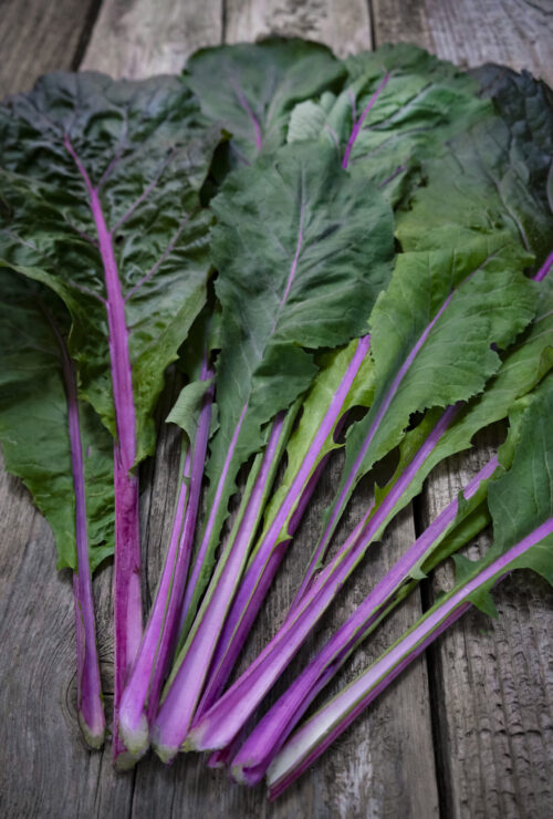 Buy Asian Greens Seeds | She Grows Veg