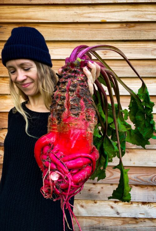 She Grows Veg | The Heirloom Seed Company