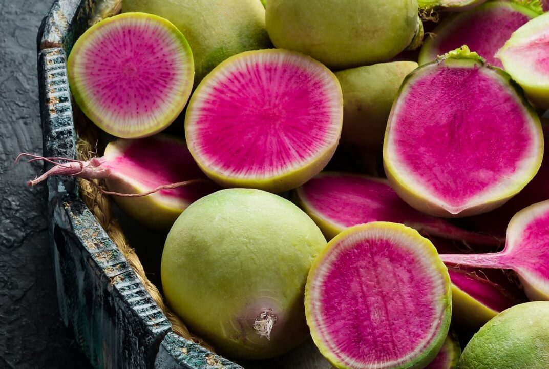 How to Store Root Vegetables | She Grows Veg