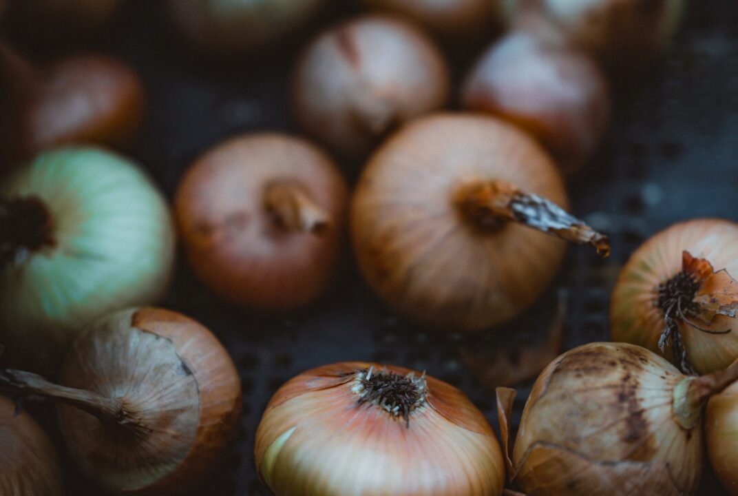 How to Prevent and Treat Rust on Leeks and Beans | She Grows Veg