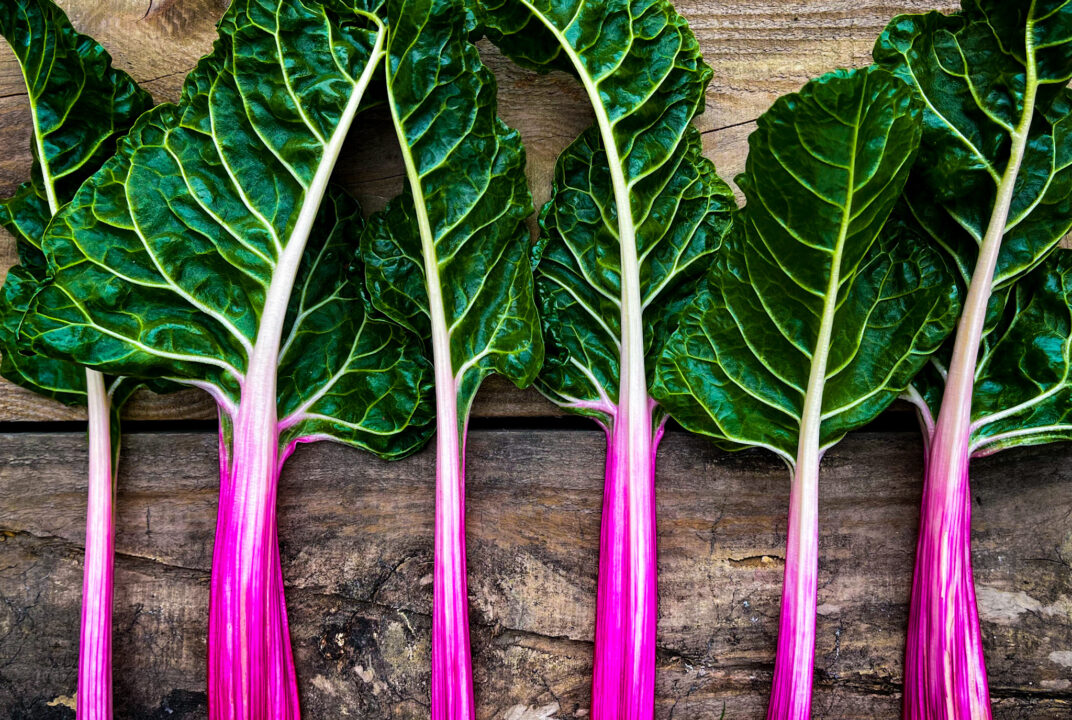 Top 10 Inspiring Edibles | She Grows Veg