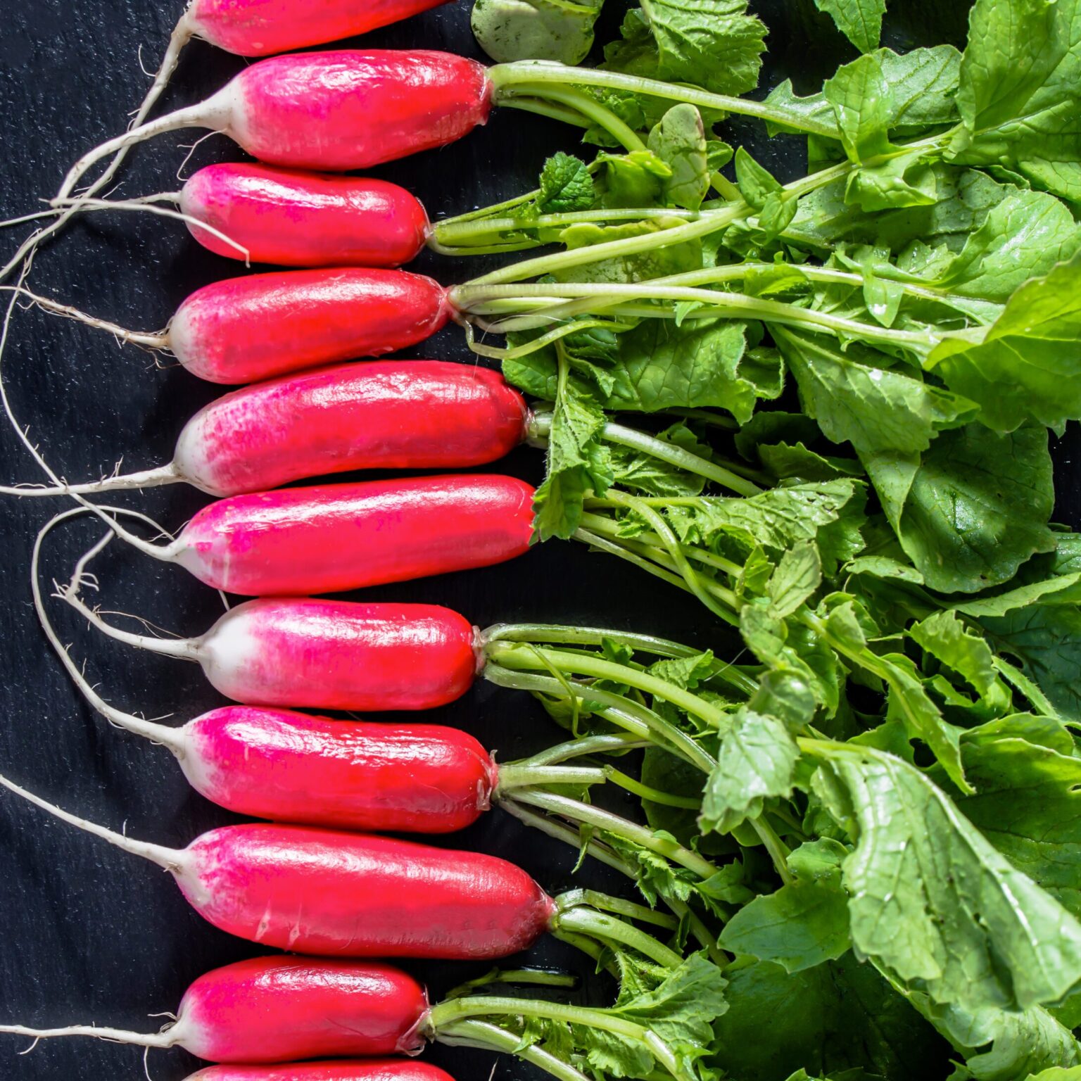 5 Crops to Grow in Small Spaces | She Grows Veg