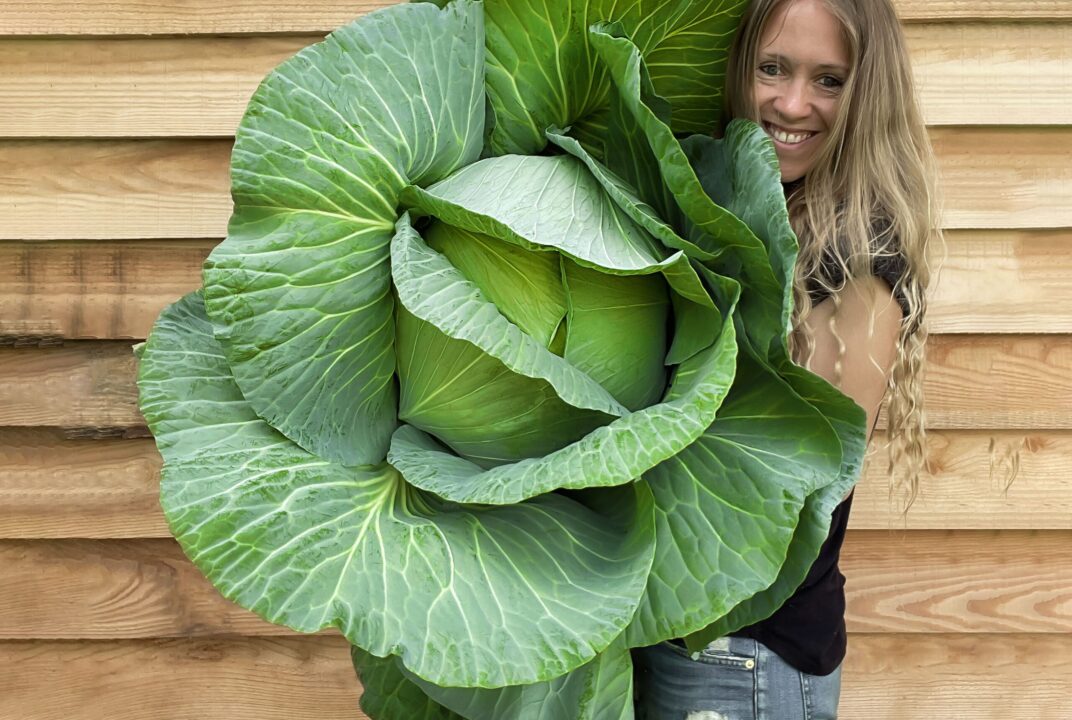 How to Sow and Grow Chard | She Grows Veg