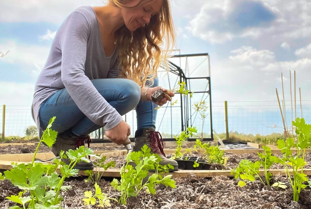 Top 10 Fast-Growing Vegetables For New Gardeners | She Grows Veg