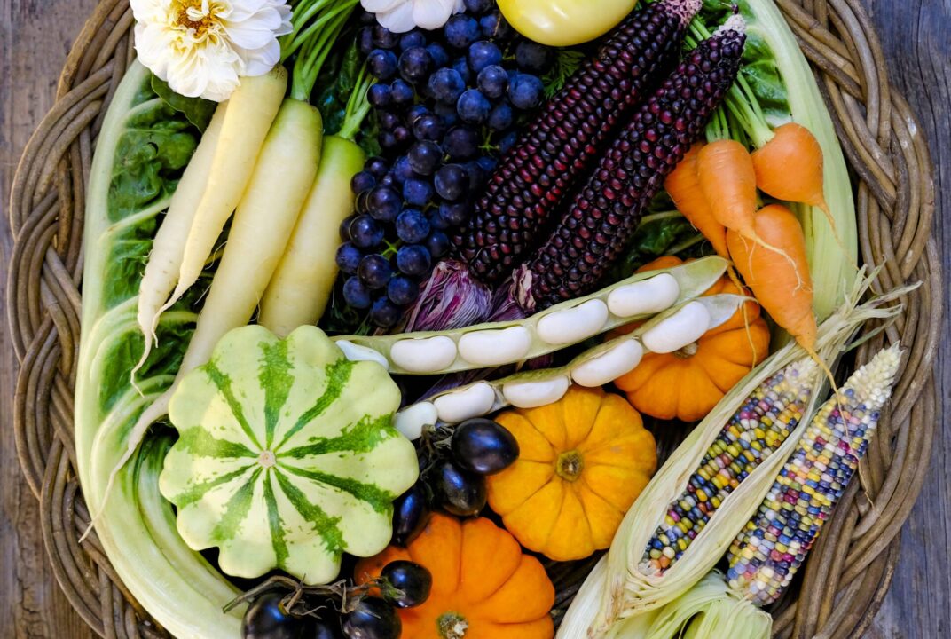 Why Do Heirlooms Help Biodiversity? | She Grows Veg