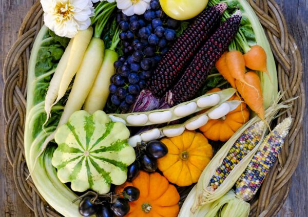 She Grows Veg | The Heirloom Seed Company