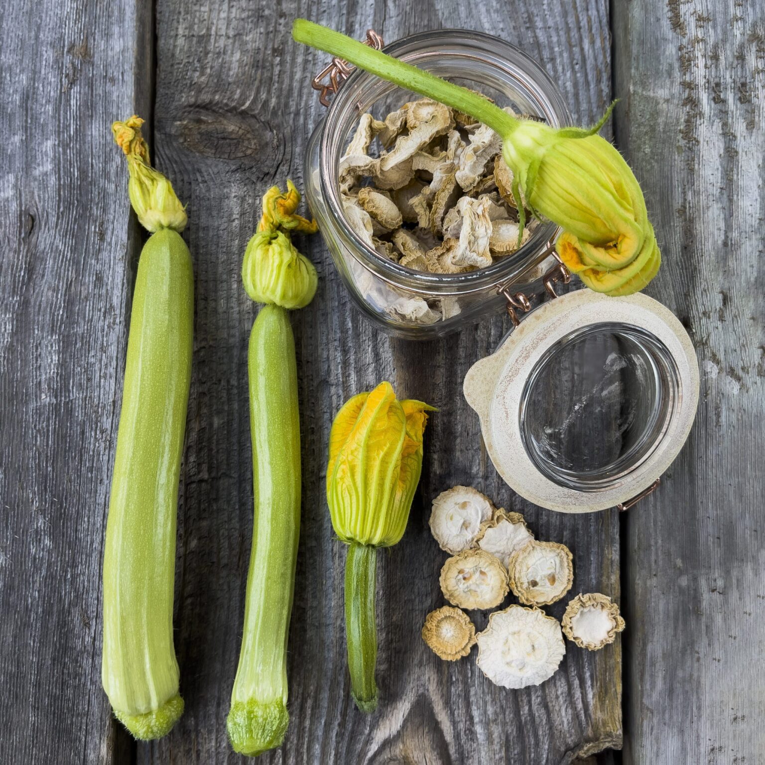 Chelsea Flower Show 2026 Plant List | She Grows Veg