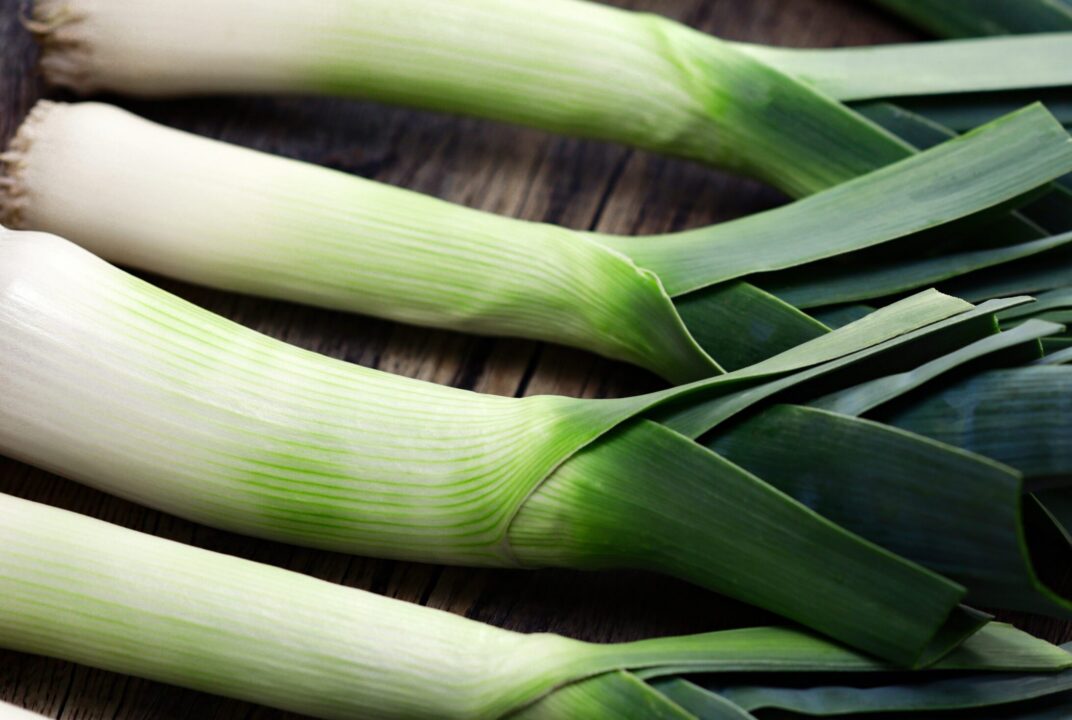 How to Protect Onions and Leeks from Thrips Damage | She Grows Veg