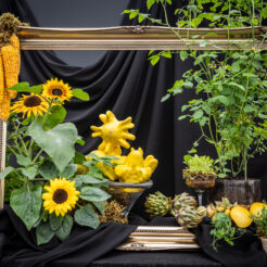 Our Story | She Grows Veg