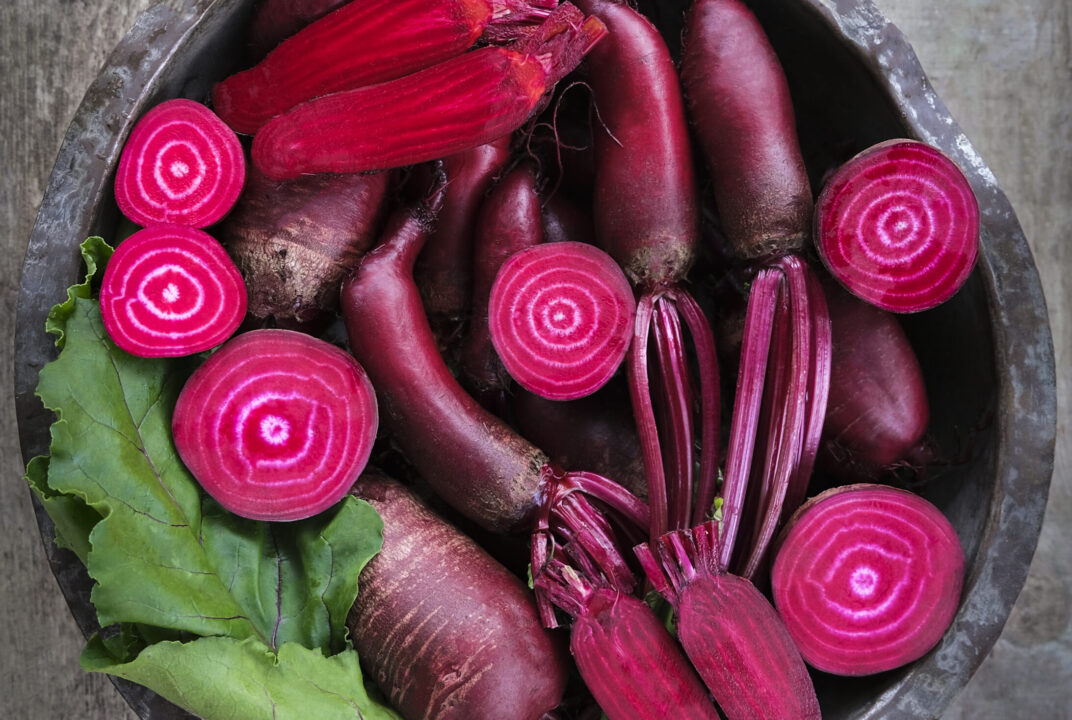 How to Sow and Grow Beetroots | She Grows Veg