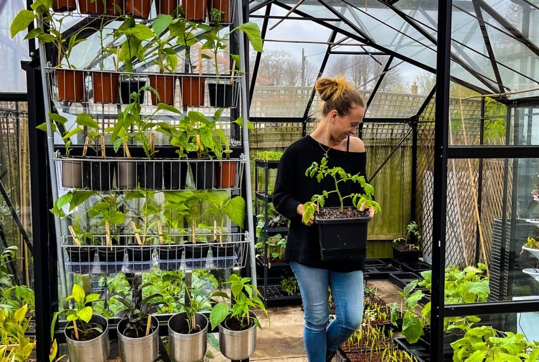 What Veg Seeds To Sow In September | She Grows Veg