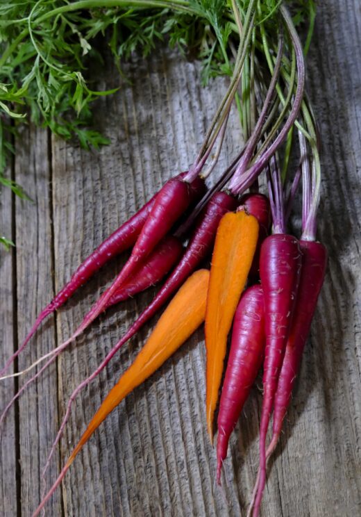 Buy Carrot Manpukuji Seeds | She Grows Veg